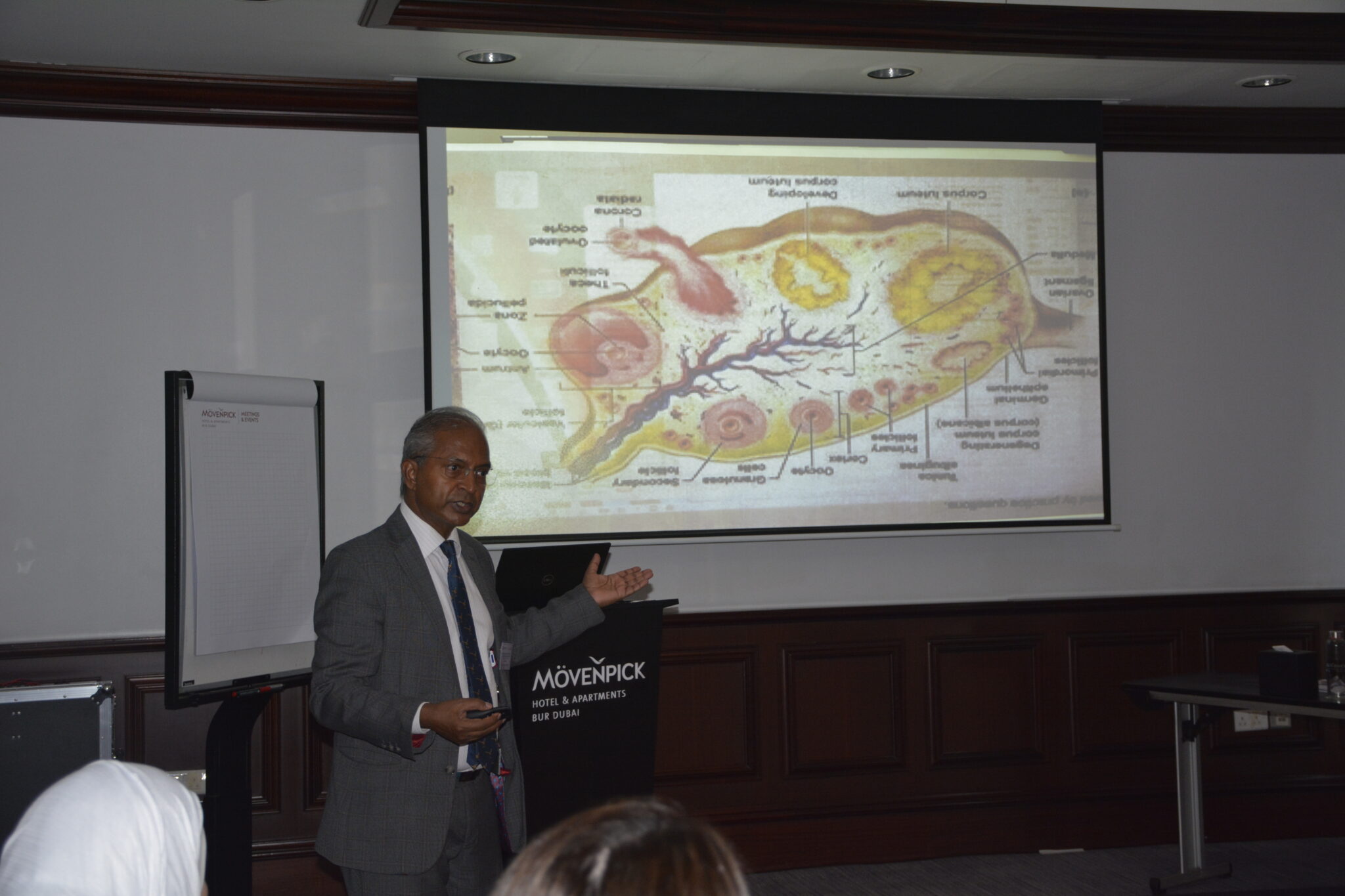 MasterClass In Obgyn Ultrasound - September 2023, Dubai